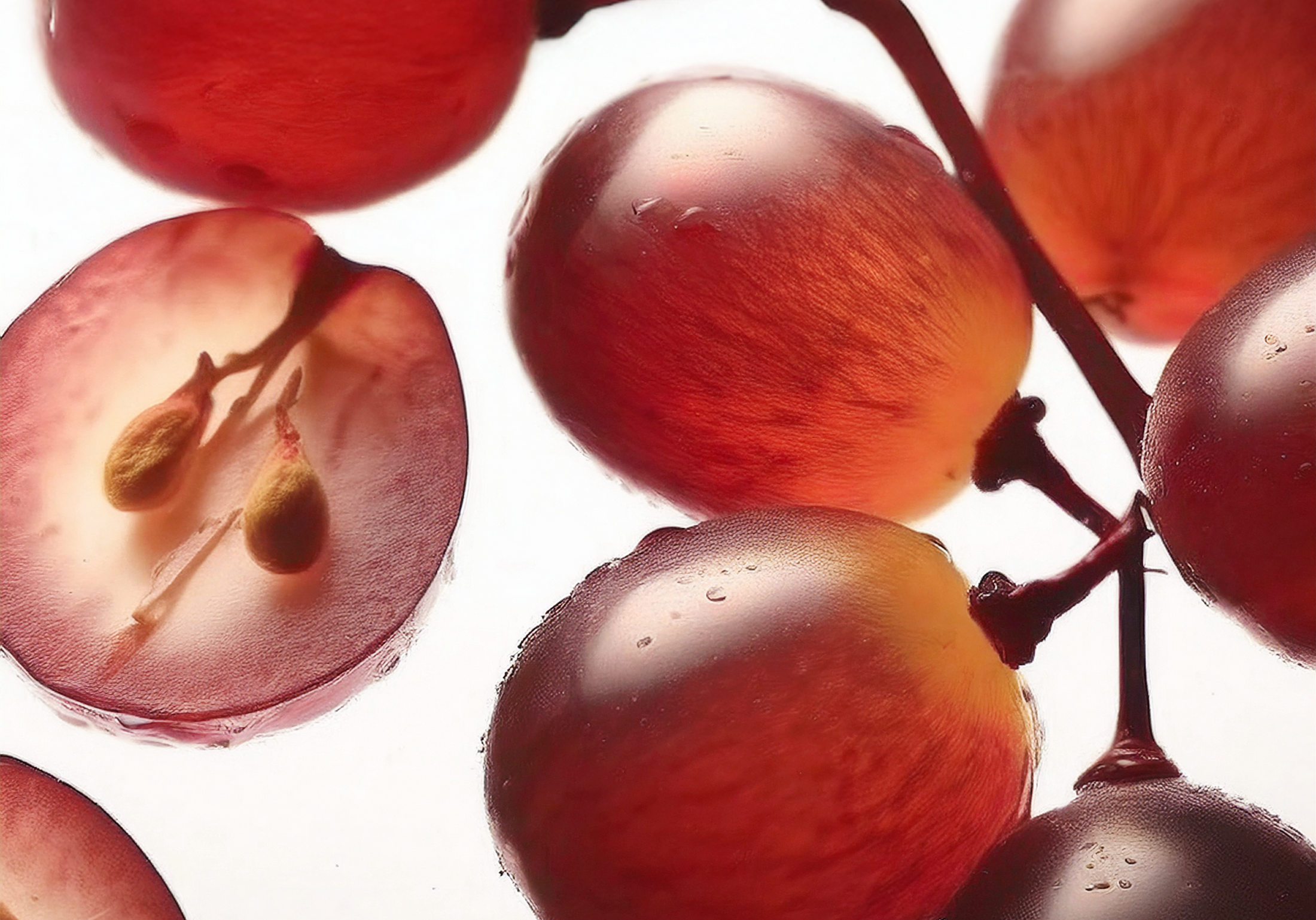 Grape seed extract and your eyes: What's the research? – Clearer Eyecare